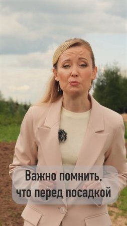 Какую почву оценит земляника садовая?
