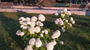 уфа 13 07 2025 с гдк проспект