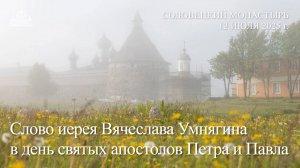 Слово иерея Вячеслава Умнягина в день апостолов Петра и Павла, 2025