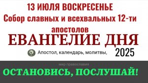 13 июля воскресенье Евангелие дня 2025 с толкованием #евангелие