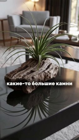 Карточка видео