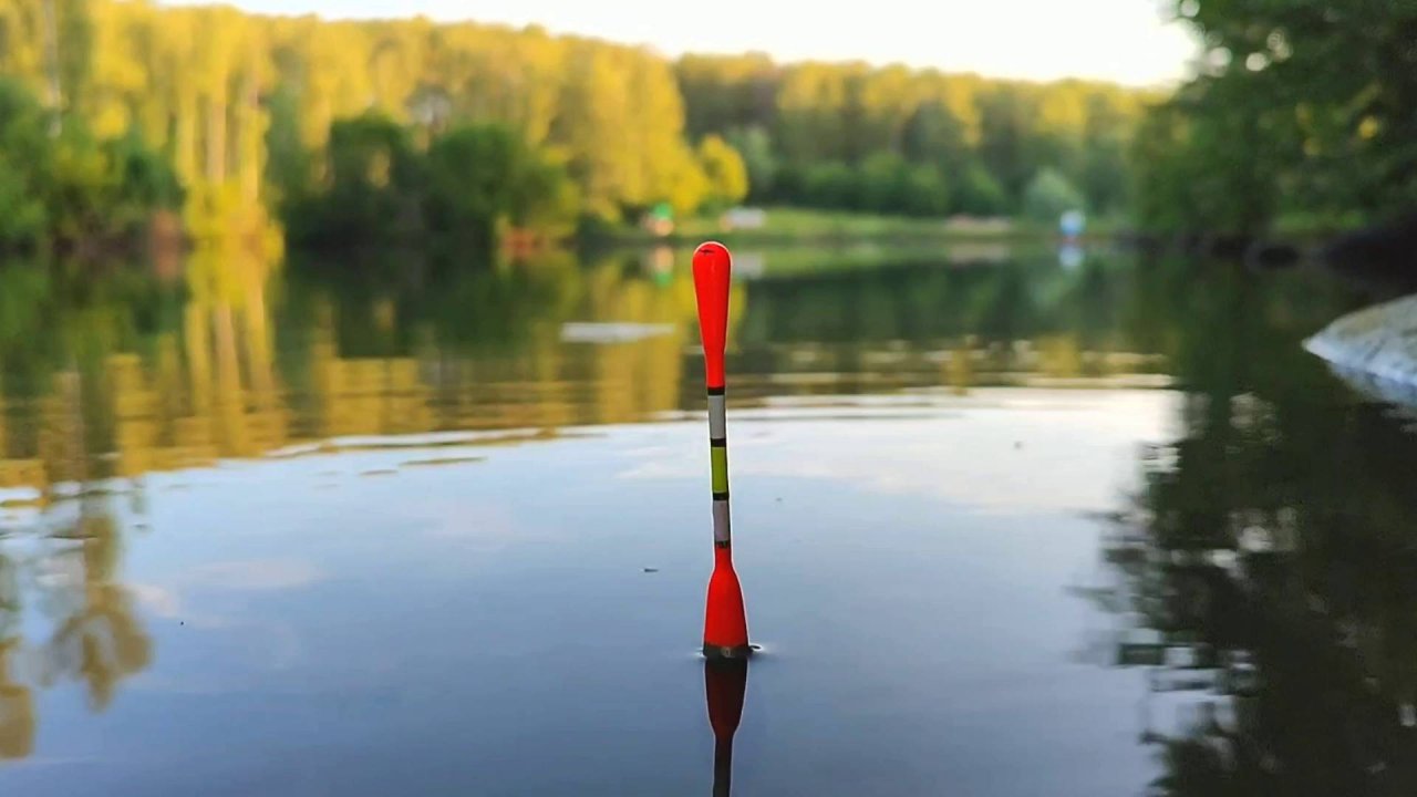 РАБОТАЕТ АККУРАТНАЯ СНАСТЬ. УГОВОРИЛ КАПРИЗНУЮ РЫБКУ