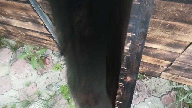 Дощатая крыша. Испытание дождем.