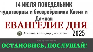 14 июля понедельник Евангелие дня 2025 с толкованием #евангелие