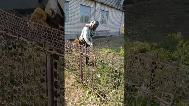 Брат Николай Георгевич косит траву у дома  31 05 2025