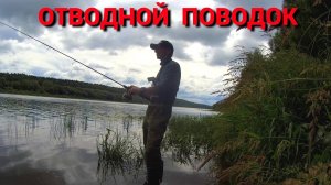 ЛОВЛЮ на ОТВОДНОЙ ПОВОДОК. РЫБАЛКА на ОКЕ в июле.