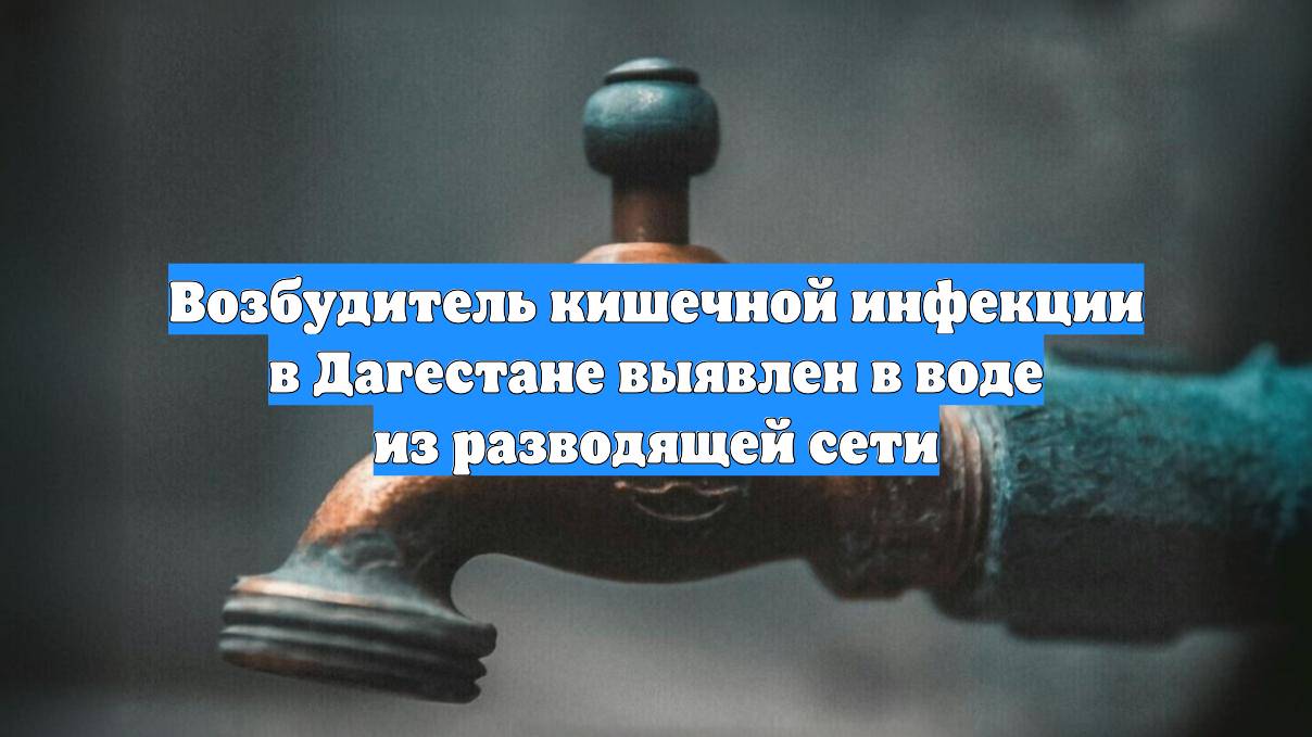 Возбудитель кишечной инфекции в Дагестане выявлен в воде из разводящей сети