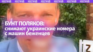 Поляки устраивают бунт против украинцев: снимают и крадут номера с машин