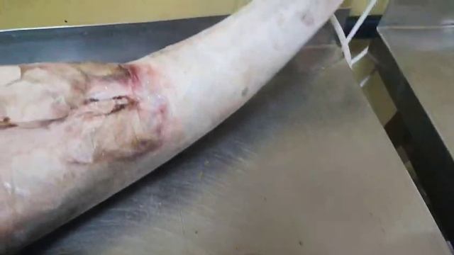 Акула черноморская катран потрошеная без головы в магазине ДикоЕд