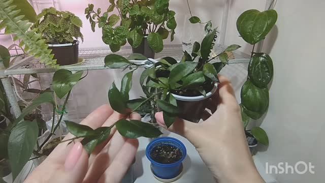 1000007094.mp4