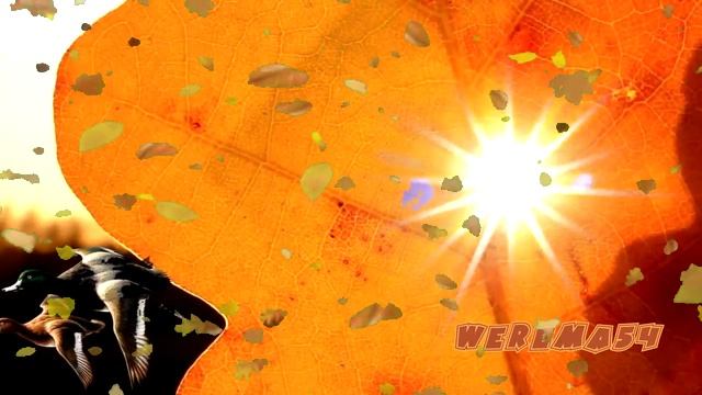 Женщина Осень смешала все  краски Werema54