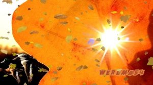 Женщина Осень смешала все  краски Werema54