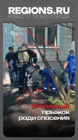 Отчаянный прыжок ради спасения
