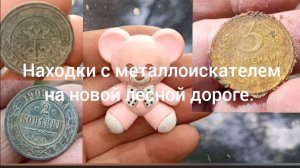Находки с металлоискателем на лесных дорогах.