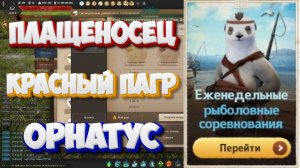 БДО. РыбСор 14-19.07 2025. КООРДИНАТЫ. Плащеносец, Красный пагр, Орнатус