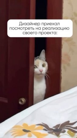 Одним глазком 👁️