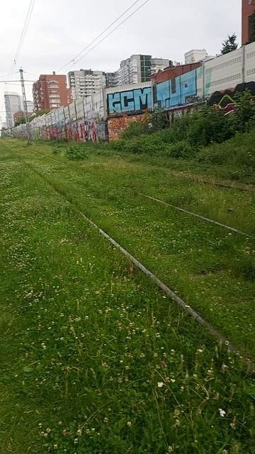 Дождливая погода. Прогулка без игрушек