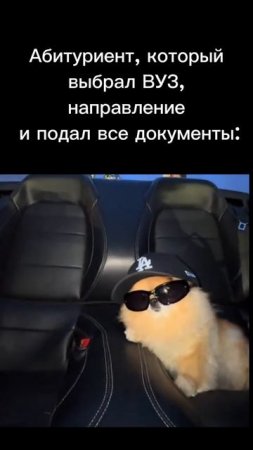 Пока ты листаешь мемы, этот парень уже забронировал себе место в лучшем вузе!