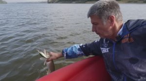 "РЫБАЛКА У КАЖДОГО СВОЯ"