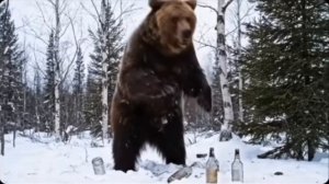 самые крутые ии мемы.