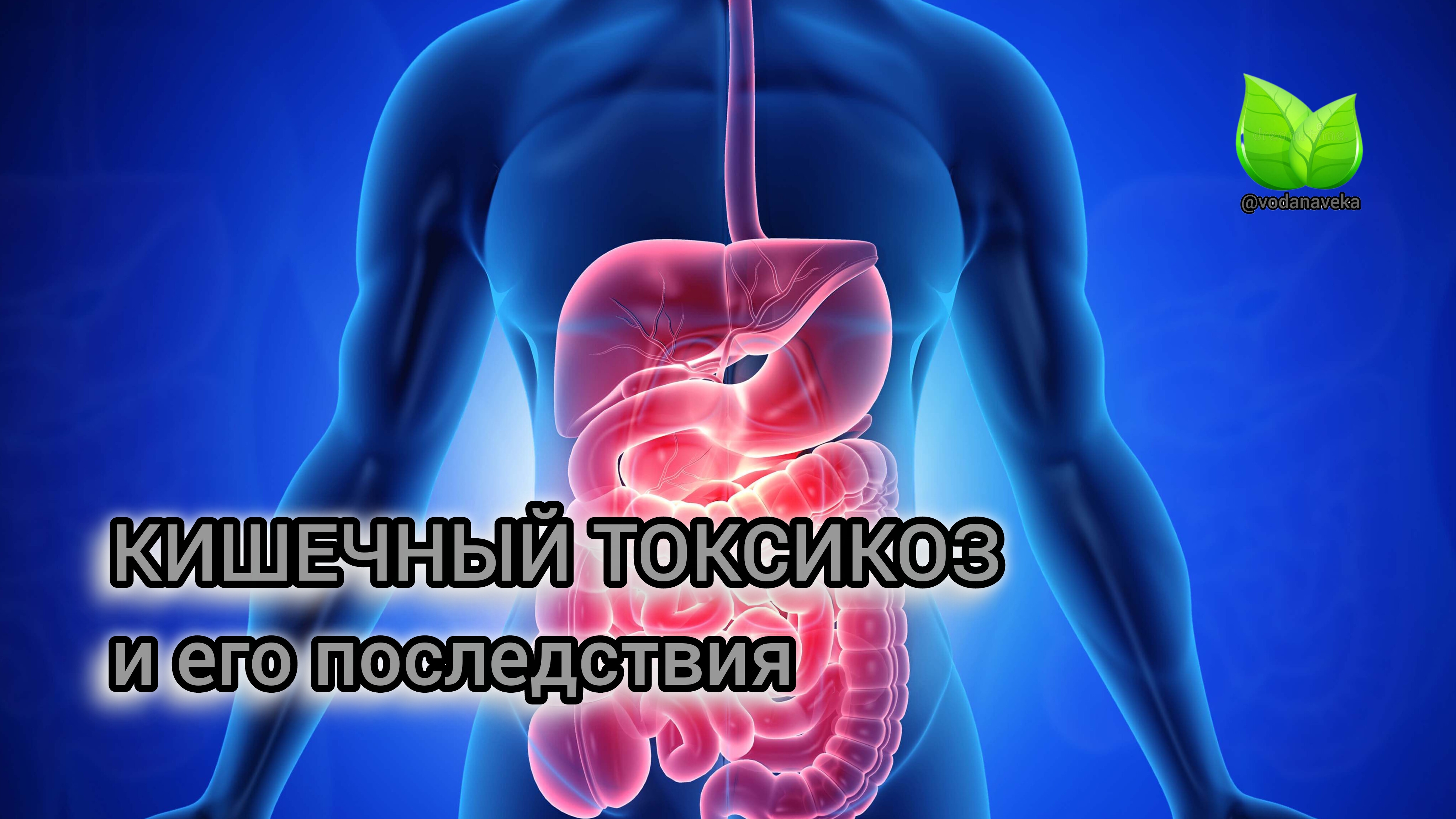 💥Кишечный токсикоз и его последствия. О.В.Похомутникова