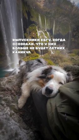 Выпускники КБГУ