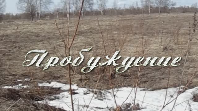 Пробуждение