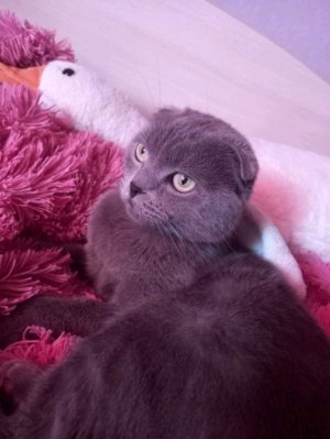показываю маску