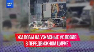 Тюменцы пожаловались на передвижной цирк из-за ужасных условий содержания животных