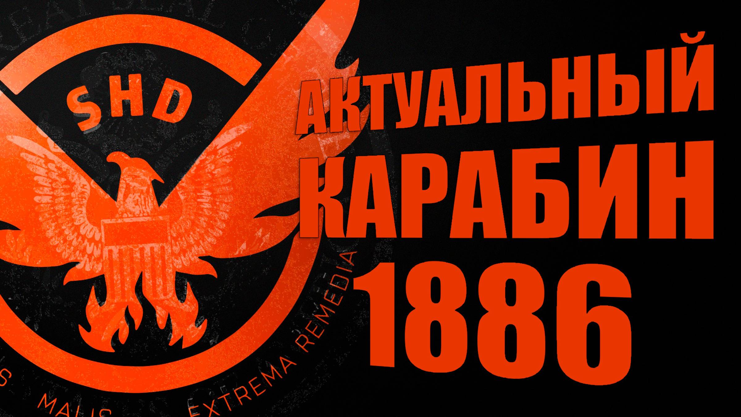 Актуальная сборка на Карабин 1886 второй вариант The Division 2