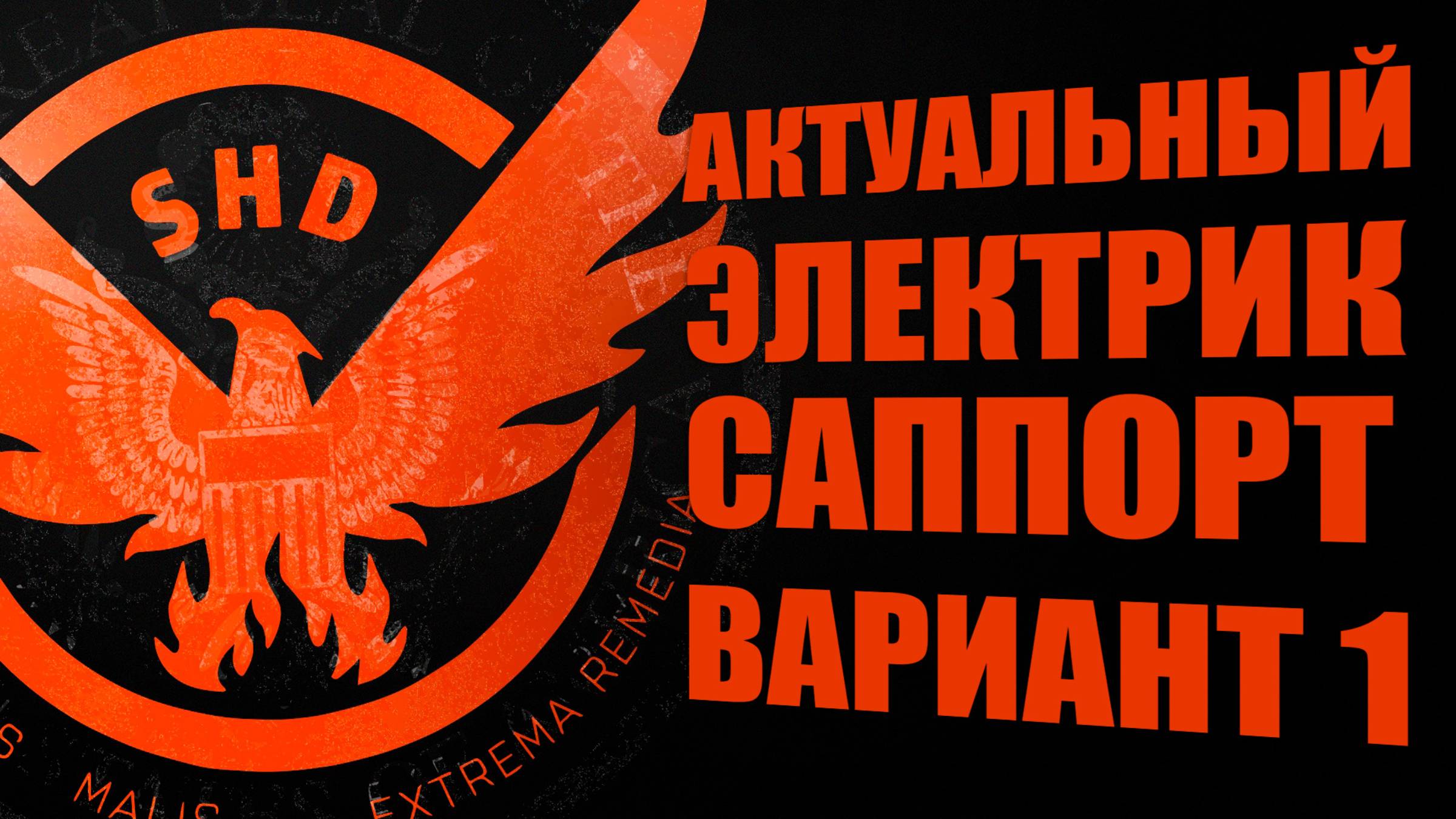 Актуальная сборка Электрик ленивый билд саппорт вариант один The Division 2