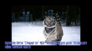 Микас Дарья Александровна - Притча «Страшный сон»