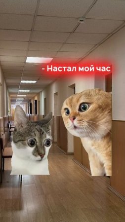 Главное не бояться
