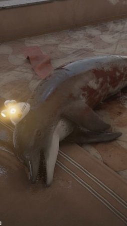ЧЕЛОВЕЧЕСКИЙ ЯЗЫК СЛИШКОМ БЕДЕН ➤ ATOMIC HEART ➤ Enchantment Under the Sea