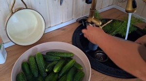 СПОКОЙНАЯ ЖИЗНЬ В ДЕРЕВНЕ СРЕДИ ПРИРОДЫ /ТАМ ГДЕ ОТДЫХАЕТ ДУША/ЦВЕТУЩИЙ САД/РАБОТА КИПИТ/УСТРА