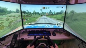 WRC 10/ СИМРЕЙСИНГ НА ТРИПЛСКРИНЕ. УЧУСЬ РАЛИЙНЫМ АЗАМ