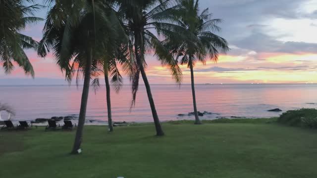 Отель-ракушка на Фукуоке: тишина, виллы и спорный сервис Обзор отеля The Shells Resort & Spa