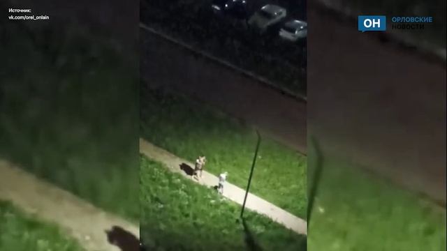 Пьяная орловчанка выбивала из кавалера ключи от машины