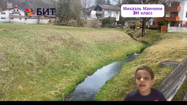 Манчини Михаэль