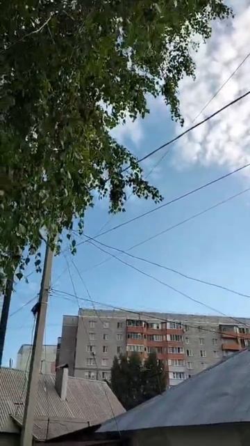 Белка будущий электрик