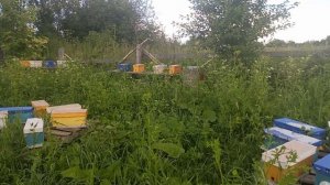 вечерний облёт, результаты выводы.