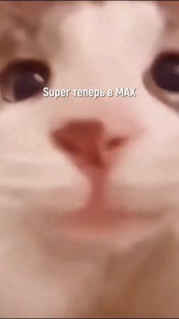 ⚡️Super теперь в MAX
