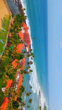 Экскурсионная Шри-Ланка 🌴✈️❤️