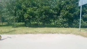 Поездка на автобусе из Планерной до Стокманна