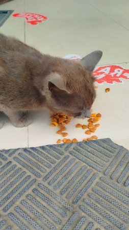 Твори Добро другим во БЛАГО