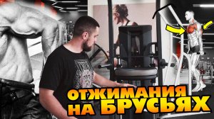 Отжимания на брусьях