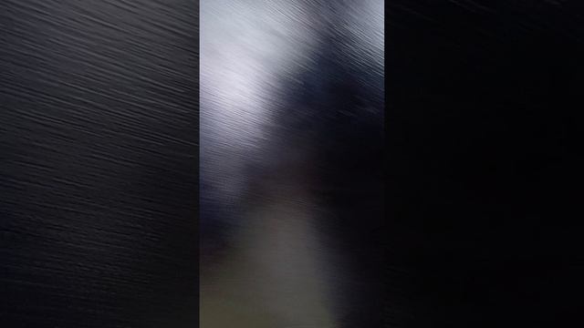 VID_20250712_113308