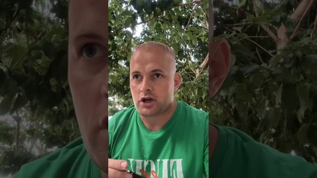 Видео как купить квартиру в Краснодаре по цене ниже чем в твоем Городе / смотреть всем