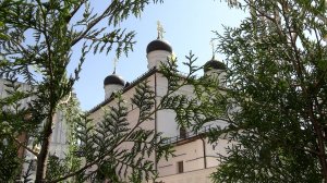 Возрожденная святыня: в Симбирской епархии совершено освящение верхнего храма Спасского собора
