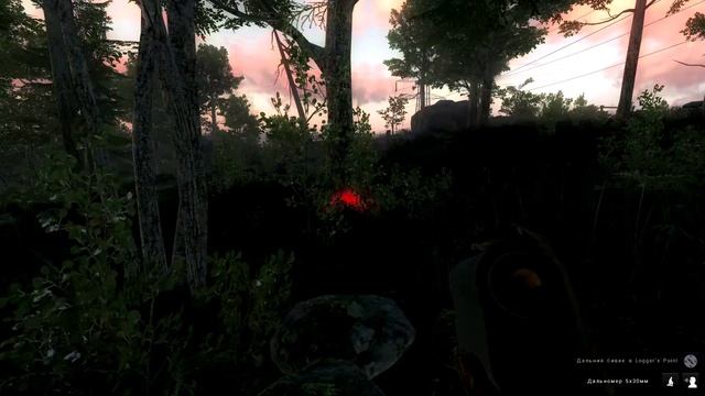 theHunter Classic